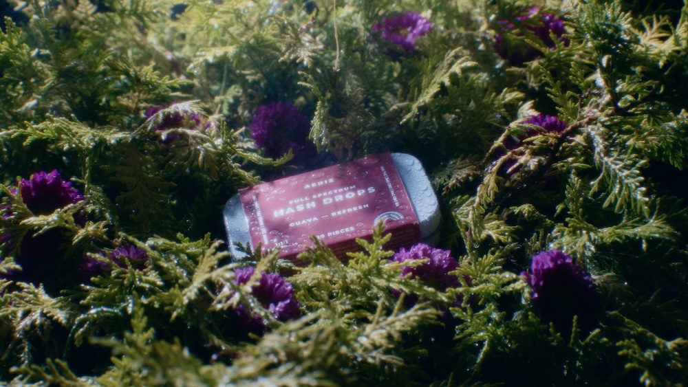 Full Spectrum Hash Drops | Aeriz | Aeroponic Cannabis